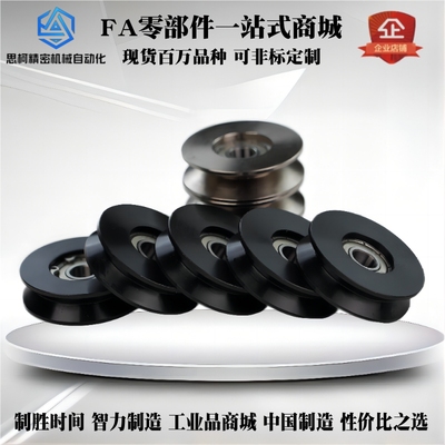 QBR41 42 43-D30 D40 D50 D100 D60-A5 A6-d5 d8 d10 d12 导向轮