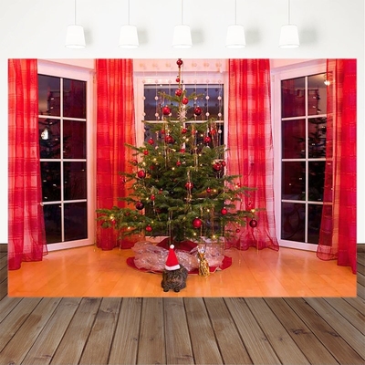 Christmas Photography Background Christmas Tree Gift Cat We