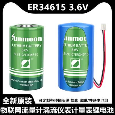 瀚兴ER34615燃气煤矿流量计仪表3.6V智能专用锂电池物联网