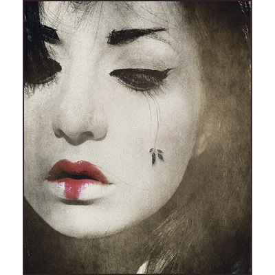 英国Mineheart Japanese Repose Rug 日式静美地毯