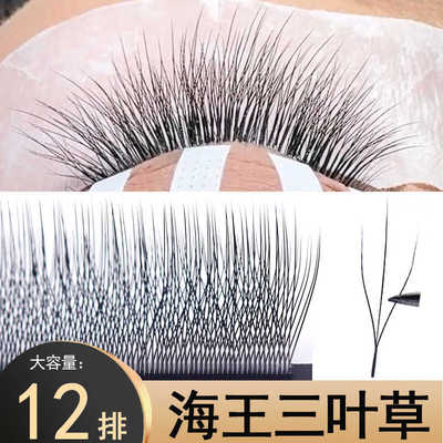 海王三叶草嫁接睫毛睫毛断羽