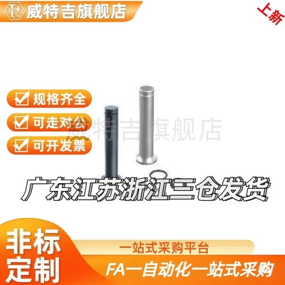 铰链销C-HCDG30 HCCG12/PHCCG10 SHCDG25/SHCCG3 4 5 6 8/HCCGH20