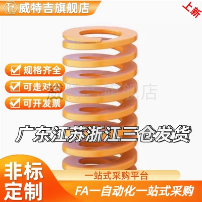 SWF6-15/20/25/30/35/40/SWM/SWH/SWL/YSWF/YSWL/YSWH/WM矩形弹簧