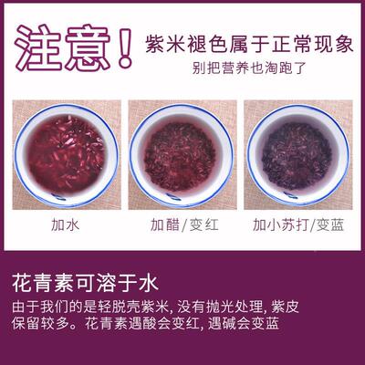 6斤 米墨江新紫低糯米血糯米米黑米糯米云南紫特产五谷杂粮VBH脂