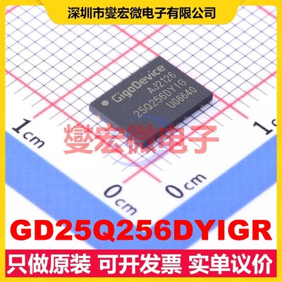 GD25Q256DYIGR WSON-8-EP(6x8) 256Mbit NOR FLASH存储器芯片IC