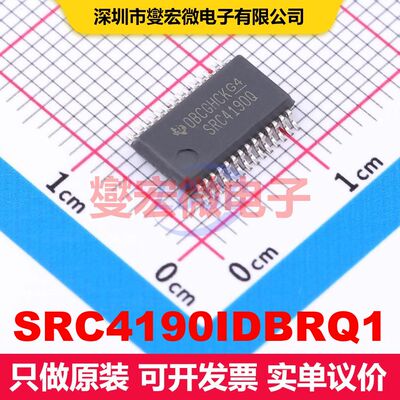 SRC4190IDBRQ1 SSOP-28 音频专用 集成芯片IC