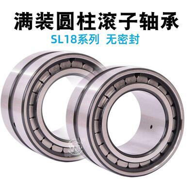 满装圆柱滚子轴承SL18 SL04/NNCF 5004 5005 5006 5007 5008 5009