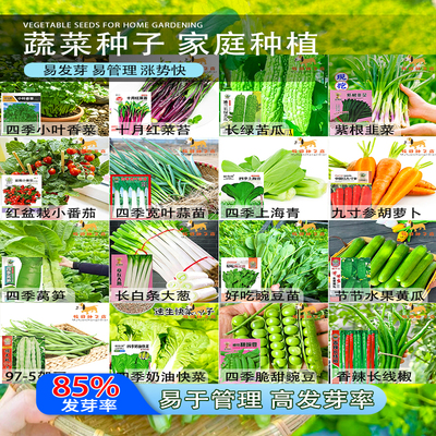 四季蔬菜种子组合装大包装家庭阳台盆栽西红柿黄瓜辣椒豆角菜种籽