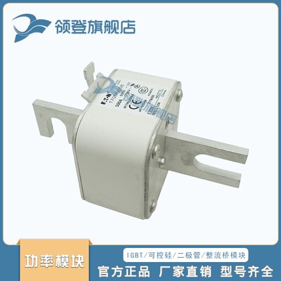 快速熔断器保险丝170M6192 6193 6194 6195 6196 6197 6198 6199