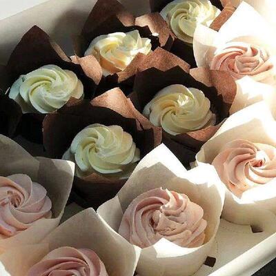 200Pcs Tulip Cupcake Baking Cups Muffin Baking Liners
