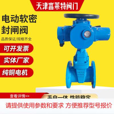电动软密封铸铁法兰闸阀天津二通防爆45WX-16Q22080V调节开关型