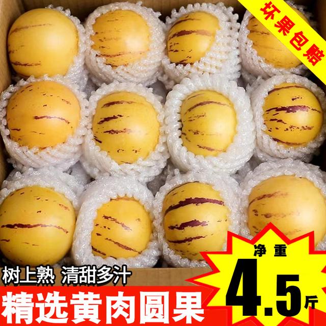 真树上熟云南石林人参果水果正宗树上熟黄肉圆果清甜多汁