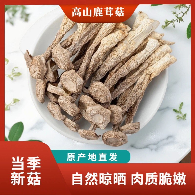 支持试吃 临麒鹿高山鹿茸菇自然晾晒头茬新货 其他脱水蔬菜