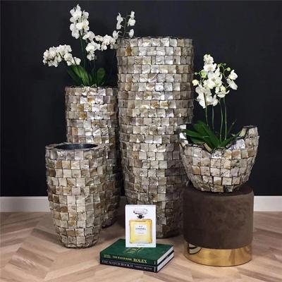 Sea model shell grower mother of pearl large shell mop floor