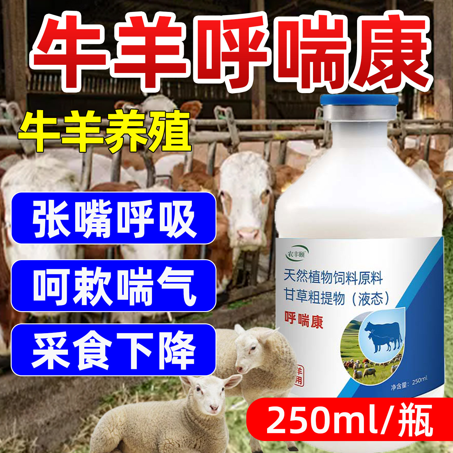 呼喘康兽用猪牛羊呼喘张嘴喘气被毛粗糙采食下降没活力饲料添加剂