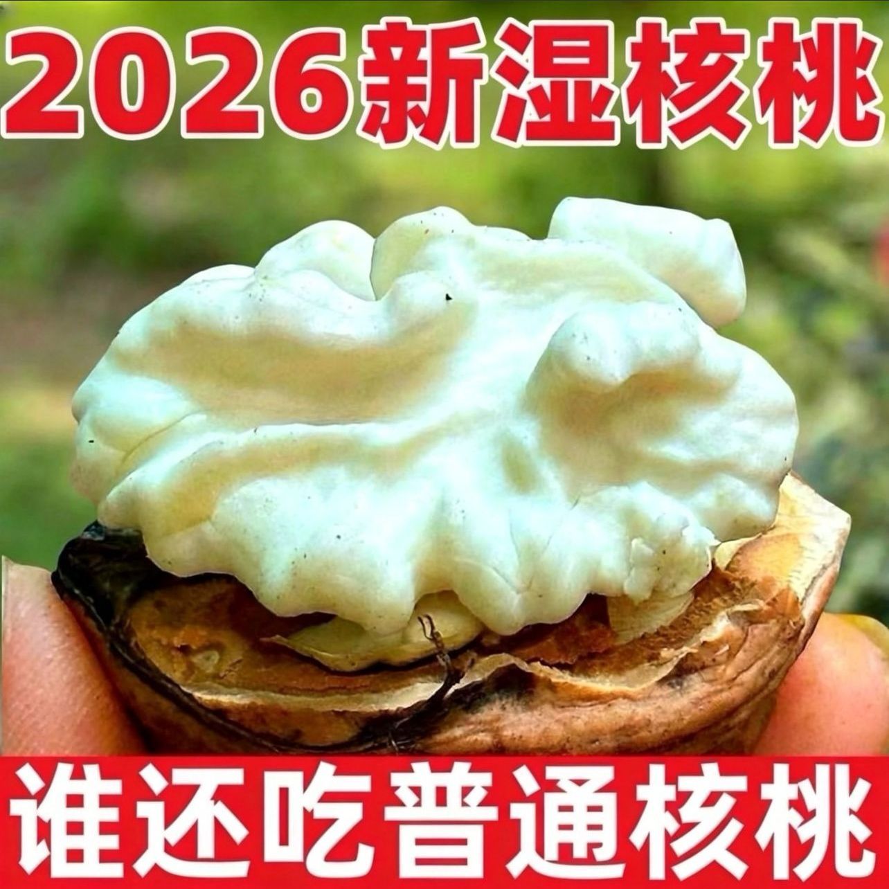 2026年当季新鲜湿核桃去青皮薄核桃非薄皮核桃湿嫩生核桃顺丰发货