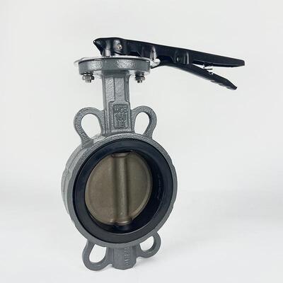 手动铸钢脱硫WCB碳钢蝶阀化工冶金耐磨耐腐蚀橡胶2507蝶阀
