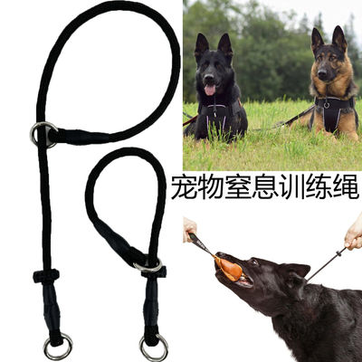 宠物窒息训练P绳 户外遛狗训练牵引绳 狗狗训练用Dingo齿轮扼流圈