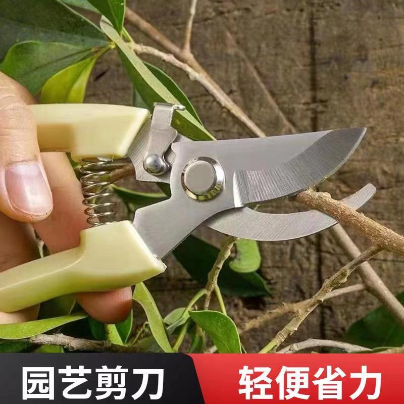 不锈钢树枝修枝刀采摘水果花木剪园林果树花卉枝嫁接园艺剪枝剪刀