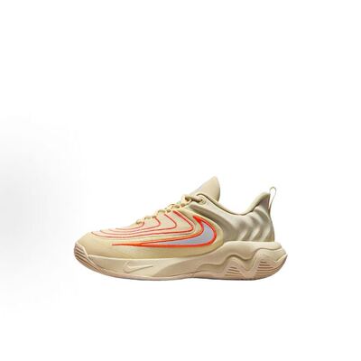 耐克Nike 时尚潮流休闲百搭 防滑儿童篮球鞋 FZ6734-200