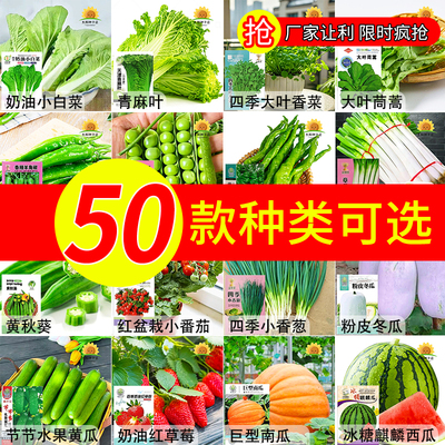 四季阳台盆栽蔬菜种子大全