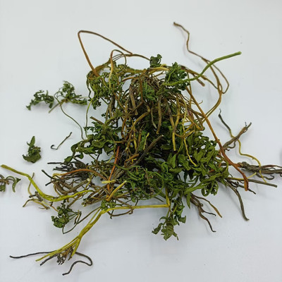 贵州中药材阴地蕨精选无硫干货