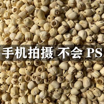 宁白莲宗福建建原产白地通芯莲新货农家XJE手工去皮去正芯白莲子