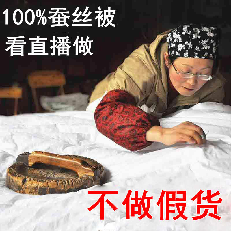 桐乡手工蚕丝被100%桑蚕丝春秋被子母被单双人空调被少儿被芯冬被