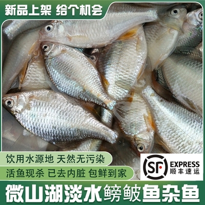 微山湖鳑鲏鱼净膛整鱼包鲜发顺丰