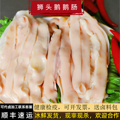 潮汕狮头鹅农场散养老鹅现杀鲜生鹅肠卤水火锅新鲜大肠鲜鹅肠