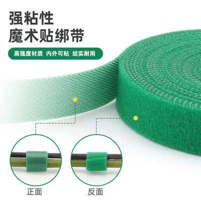 植物绑带爬藤魔术贴双面