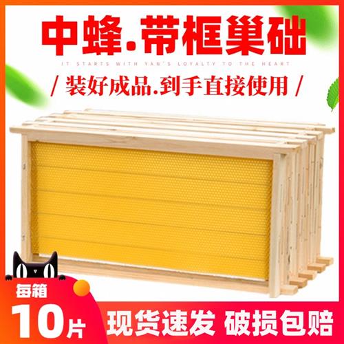 中蜂巢础巢框蜂巢八千巢础意蜂成品全套带框蜜蜂巢脾蜂箱养蜂工具