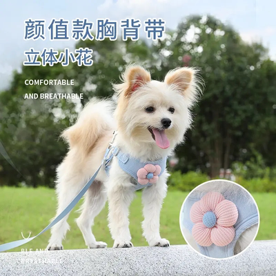 小型犬泰迪比熊博美胸背牵引绳