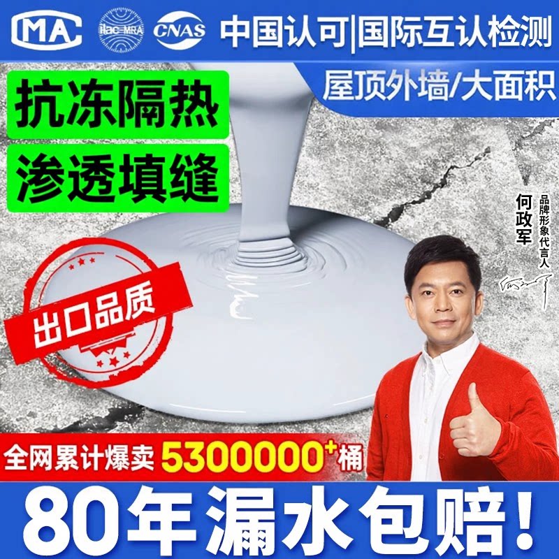 沃特浦屋顶防漏防水胶补漏裂缝渗水房顶漏水专用材料楼顶堵漏涂料