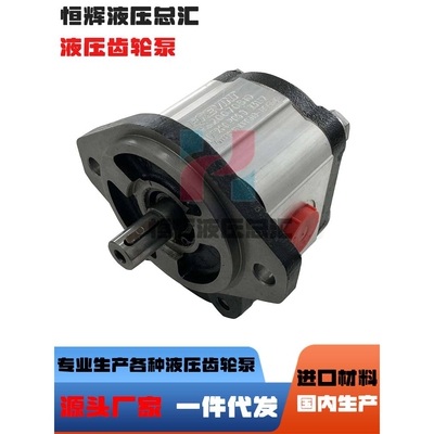 新款布雷维尼Brevini齿轮泵OT100P11 D/G18 OT200P04 S/R OT300液