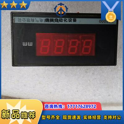 青岛砂光机数显表VS2000议价