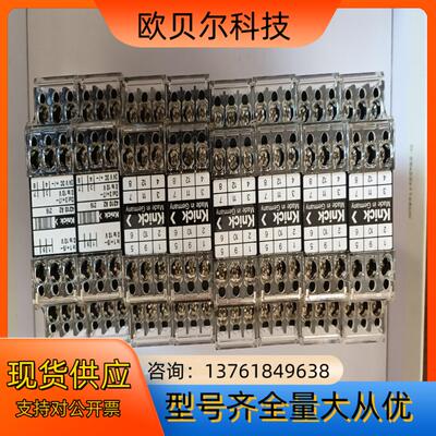 Kinck隔离安全栅 TyPe 4310  A2