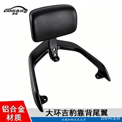 适用于电动车爱玛探途F551金箭T170后靠背尾架台铃凯鹰劲锐货架