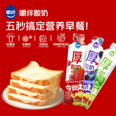 嚼绊新品酸奶条生牛乳发酵酸奶