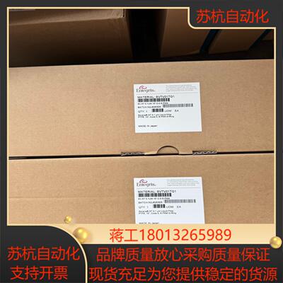 SVTV01TQ1，ENTEGRIS应特格滤芯，现货原装