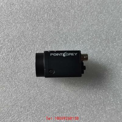【非标价】#POINTGREY灰点#工业相机WS-D13M2-CS 实