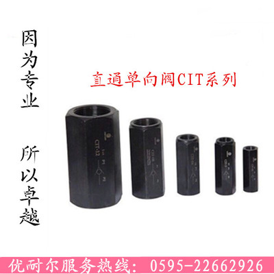 液压单向阀油管式安全止