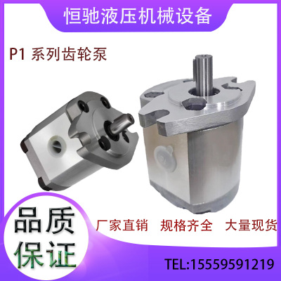 齿轮泵P101/P102/P104/P105/P106/P107/P109/P127/P135RP01GT油泵