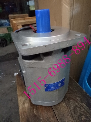 原装CBG-2050-BFXL合肥集源液压齿轮油泵CBG2050-BFP BFH合肥集源