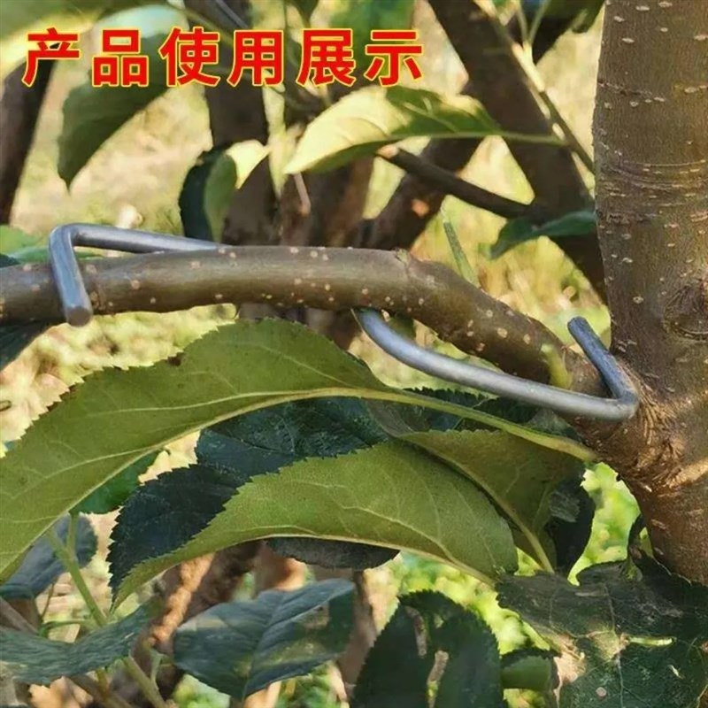 别枝器压枝定型开角拉枝拨园农用园艺工具包邮果树柑橘石榴定型