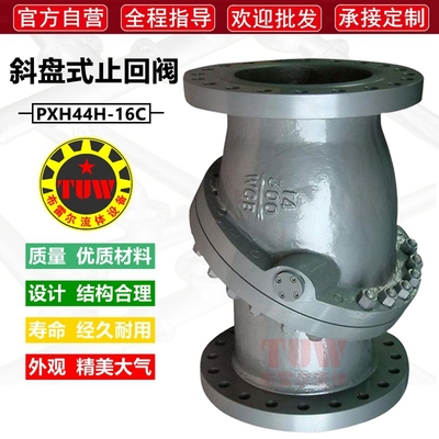 斜盘式止回阀铸钢无撞击