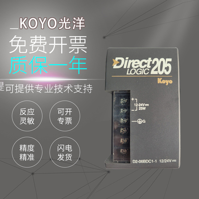 原装PLC光洋D2-06BDC1-1 09B-1 263 CTRINT 16TD1-2 D2-16ND3-2