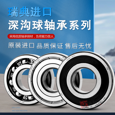 瑞典进口SKF轴承6007  6008 6009  6010 6011 6012 6013   2RS1
