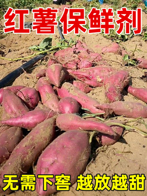 红薯保鲜剂防腐剂生姜防腐剂土豆保鲜剂延长储藏期抗病霉腐防腐剂