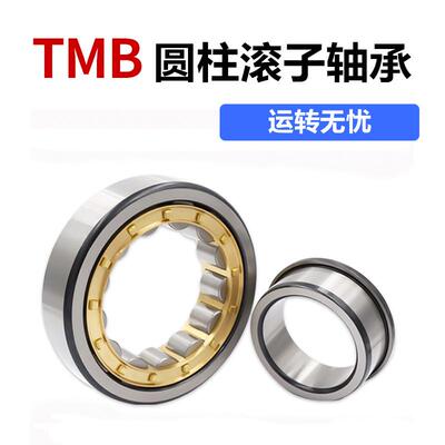 圆柱滚子轴承 NJ NU310 311 312 313 314 315 316 317 318 319 EM